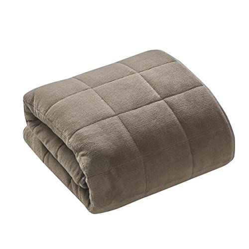 Thesis Home Weighted Blanket with Premium Glass Beads for Kids and Adults - 100% Brushed Microfiber Plush Reversible Sherpa Calming Blanket - 10 lbs - 50 X 60, Taupe