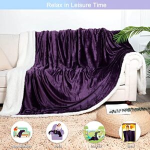 NANPIPER Sherpa King Size Blanket,Soft Fuzzy Fleece Blanket,Warm Plush Edge Blankets,Purple 90"x108"