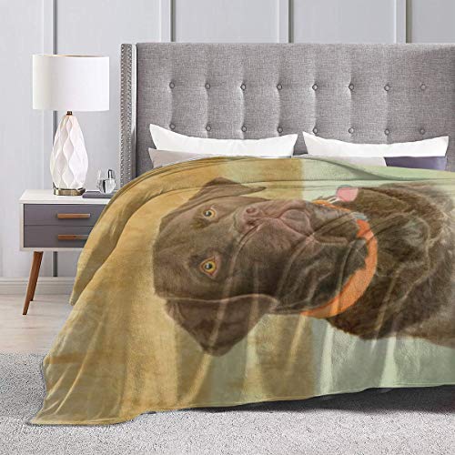 Yulimin Chocolate Art Dad Labrador Full Fleece Throw Cloak Wearable Blanket Nursery Bedroom Bedding Decor Decorations Queen King Size Flannel Fluffy Plush Soft Cozy Comforter Quilt