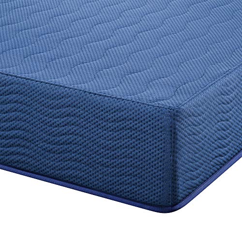 PrimaSleep 10 Inch New Glass Fiber Free Foam Mattress,Comfort Body Support (Queen) (PR10FMF1Q)