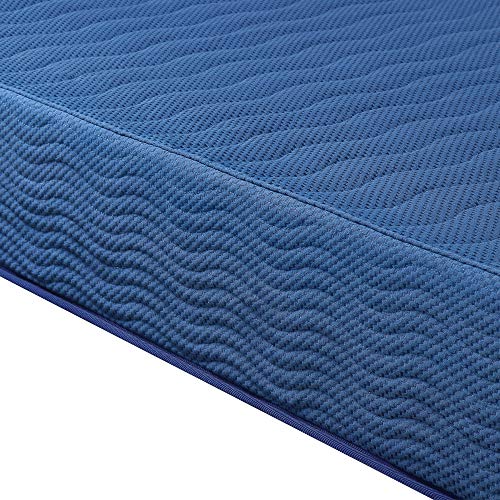 PrimaSleep 10 Inch New Glass Fiber Free Foam Mattress,Comfort Body Support (Queen) (PR10FMF1Q)