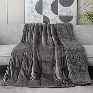 Kaisa Weighted Blanket 15 pounds Queen Size for Adults, Sherpa Fleece Heavy Blankets 15LBS, Fuzzy Hug Blankets, Flannel Sofa Bedding Throw Blanket, Idea Gifts for Adults Birthday, 60x80 Inches, Grey