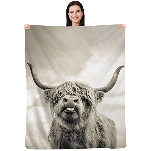 Cow Blanket Long Horn Highland Cow Throw Blankets,Black and White Cattle Landscape Fleece Plush Blanket,Ultra Soft Cozy Fuzzy Sofa Flannel Blanket for Couch Bed Sofa, 50"x40"