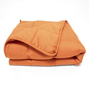 SUPERIOR Quilted Microfiber 12-Pound Weighted Throw Blanket , 48X72, Canyon Clay