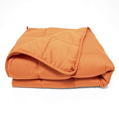 SUPERIOR Quilted Microfiber 12-Pound Weighted Throw Blanket , 48X72, Canyon Clay