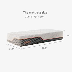 ESHINE 14 Inch Memory Foam Hybrid Mattress - 319 Independent Pocket Innersprings - Mattress in a Box - Edge Support - Medium Firm Mattress, Twin XL