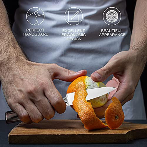 imarku Paring Knife - Paring Knives, 3.5 Inch Small Kitchen Knife - Japanese SUS440A Stainless Steel Fruit Knife, Ergonomic Pakkawood Handle, Ultra Sharp Knife