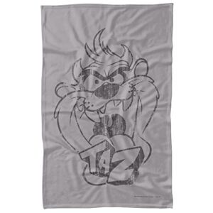 logovision looney tunes blanket, 36"x58", faded taz fleece blanket