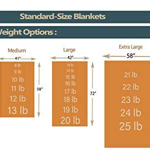 SENSORY GOODS Young Adult - Deluxe - Made in America - Medium Weighted Blanket 10lb Medium Pressure - Dwight Pattern - Fleece/Flannel (66" x 42") Provides Comfort and Relaxation.