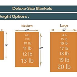 SENSORY GOODS Young Adult - Deluxe - Made in America - Medium Weighted Blanket 10lb Medium Pressure - Dwight Pattern - Fleece/Flannel (66" x 42") Provides Comfort and Relaxation.