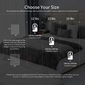 immtree Sherpa Fleece Weighted Blanket 12lbs for Adult, Soft Flannel Shaggy Cozy Fuzzy Fluffy Heavy Hug Blanket, Dual Sided Sofa Bedding Bed Sofa Blanket for Better Sleep, 48 x 72 inches, Grey