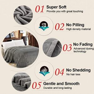 Shilucheng Soft Queen Size Fleece Blankets for All Season 330 GSM Warm Fuzzy Microplush Lightweight Thermal Blankets Summer Autumn Blankets for Couch Bed Sofa,90x90 Inches,Grey