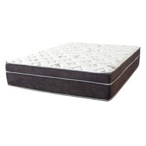 Treaton, 12-Inch Euro Top Firm Foam Encased Mattress/Orthopedic Support for A Restful Night, Twin