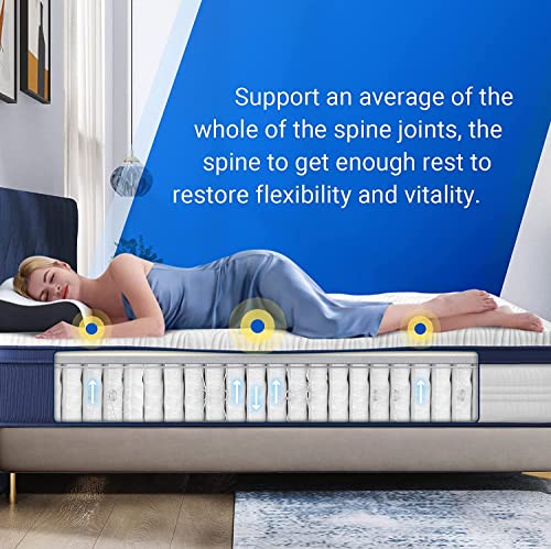 Avenco Queen Size Mattress, Queen Mattress in a Box, 10 Inch Hybrid Mattress Queen, Individually Pocketed Coils and Comfort Foam, Strong Edge Support, Medium Firm, CertiPUR-US, 100 Nights Trial