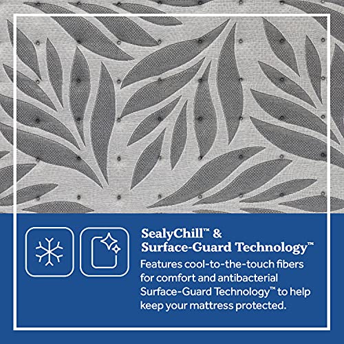 Sealy Posturepedic Plus Mattress with Surface-Guard, Tight Top 13-Inch Medium, Queen, Grey