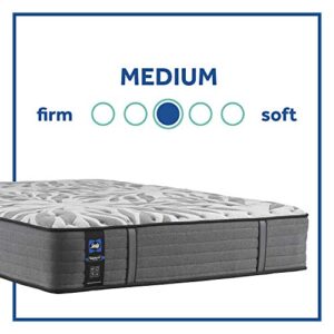 Sealy Posturepedic Plus Mattress with Surface-Guard, Tight Top 13-Inch Medium, Queen, Grey