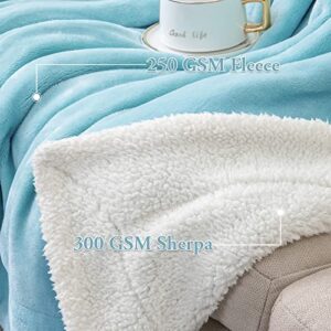 MTRRGH Sherpa Fleece Bed Blanket,Queen Size Turquoise Super Soft,Warm,Thick,Double Reversible,Luxurious Fuzzy Winter Throw,Couch Velvet Blankets,90inch X 90inch