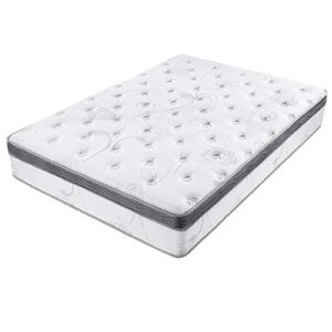 Olee Sleep 12 in Pegasus Euro Box Top Spring Mattress Queen 12SM01Q