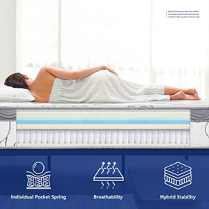 Olee Sleep 12 in Pegasus Euro Box Top Spring Mattress Queen 12SM01Q