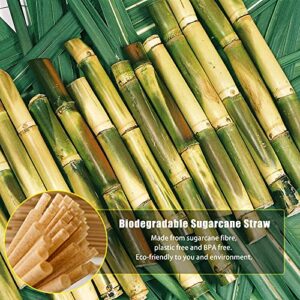 100pcs Sugarcane Straws 8 Inch Sturdy Biodegradable Drinking Straws Plastic Free Eco-Friendly Compostable Smoothie Straws for Home Restaurant Beach Parties Not Foggy