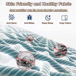 LZTENRETO Firm Coir Mattress, 3E Coconut Coir Mattress Pad, Quiet Coconut Palm Mattress, Thick Coir Mattress Pad in 6cm,9cm,11cm, Foldable (White-B,Queen 9cm)