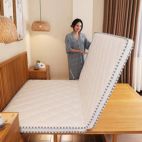 Hotel Thicken Folding Mattress, 3e Coconut Palm Mattress Pad Orthopedic Coir Sleeping Mat Firm Feel Quiet Tatami Guest Bed-8cm Twin