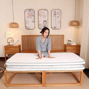 Hotel Thicken Folding Mattress, 3e Coconut Palm Mattress Pad Orthopedic Coir Sleeping Mat Firm Feel Quiet Tatami Guest Bed-8cm Twin