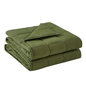 BB BlinBlin Weighted Blanket Heavy Blanket for Cool & Restful Sleep, Premium Soft Material and Glass Beads (Veridian Green, 60''x80'' 25lbs), Suit for One Person(~240lb) Use on Queen/King Bed