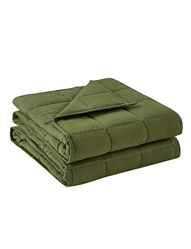 BB BlinBlin Weighted Blanket Heavy Blanket for Cool & Restful Sleep, Premium Soft Material and Glass Beads (Veridian Green, 60''x80'' 25lbs), Suit for One Person(~240lb) Use on Queen/King Bed