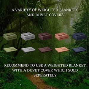 BB BlinBlin Weighted Blanket Heavy Blanket for Cool & Restful Sleep, Premium Soft Material and Glass Beads (Veridian Green, 60''x80'' 25lbs), Suit for One Person(~240lb) Use on Queen/King Bed