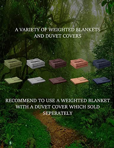 BB BlinBlin Weighted Blanket Heavy Blanket for Cool & Restful Sleep, Premium Soft Material and Glass Beads (Veridian Green, 60''x80'' 25lbs), Suit for One Person(~240lb) Use on Queen/King Bed