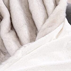 DSHGDJF Double Layers Blankets for Beds Soft Warm Throw Long Pile Home Decor Blankets (Size : 100X150CM)