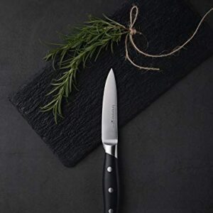 linoroso Paring Knife 3.5 inch Small Kitchen Knife with Elegant Gift Box, Sharp Forged German Carbon Stainless Steel Fruit Knife, Full Tang, Ergonomic Handle-Classic Series