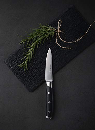 linoroso Paring Knife 3.5 inch Small Kitchen Knife with Elegant Gift Box, Sharp Forged German Carbon Stainless Steel Fruit Knife, Full Tang, Ergonomic Handle-Classic Series