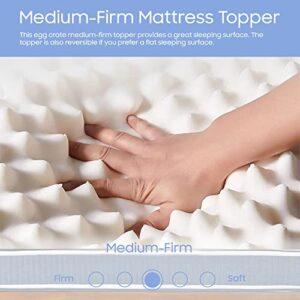 Greaton Breathable 1-inch Convoluted Egg Shell Foam Mattress Topper | Toppers for Mattresses Adds Ultimate Comfort, Reduces Back Pain, Perfect Body Support, Maintain Proper Posture, Twin, White