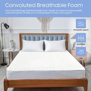 Greaton Breathable 1-inch Convoluted Egg Shell Foam Mattress Topper | Toppers for Mattresses Adds Ultimate Comfort, Reduces Back Pain, Perfect Body Support, Maintain Proper Posture, Twin, White