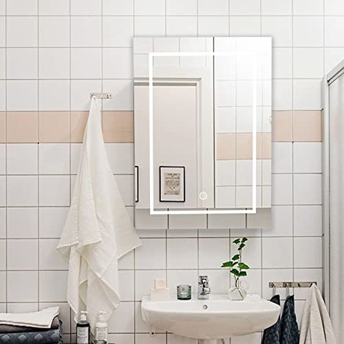 Mepplzian Bathroom Medicine Cabinet with Mirror Door Surface Wall Mounted Bathroom Mirror with Storage Shelves & Led Strips with Dimmer, 27.5" X 19.6"