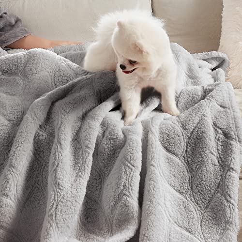 Cozy Bliss Leaf Textured Thin Sherpa Throw Blanket, Super Soft and Lightweight Fleece Blanket for Couch, Sofa and Bed, Thin, Cozy, Fuzzy and Decorative Blanket (Grey, 60"x80")