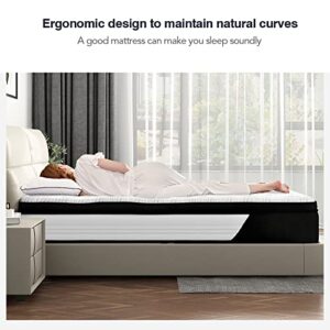 Avenco Queen Mattresses 10 Inch, Hybrid Queen Mattress Medium Firm, Queen Mattress in a Box with Gel-Infused Memory Foam & Pocketed Motion Isolation, Breathable Knit Fabric, Strong Edge Support