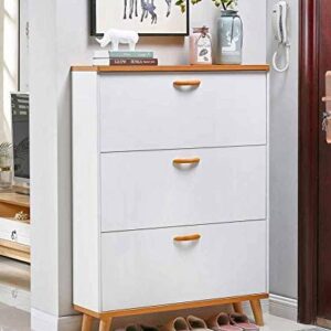 TFIIEXFL Dump Shoe Cabinet -Thin 24cm Home Entrance Simple Economical Multi-Function Hall Storage Entrance Porch Shoe Cabinet