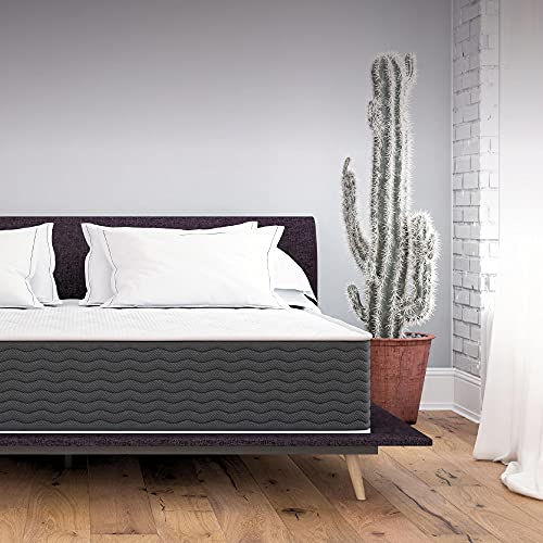 Signature Sleep Italian Made Vitality 13" Independently Encased Coil with Charcoal Infused Memory Foam Hybrid Mattress, King Size