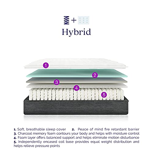 Signature Sleep Italian Made Vitality 13" Independently Encased Coil with Charcoal Infused Memory Foam Hybrid Mattress, King Size