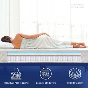 Olee Sleep 10 in Omega Hybrid Spring Mattress Twin 10SM02T