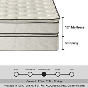 Mayton, 12-Inch Medium Plush Double Sided Pillowtop Innerspring Mattress & 8" Wood Box Spring Set, Full