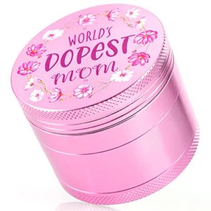 spice grinder for kitchen use (pink)