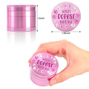 Spice Grinder for Kitchen Use (Pink)