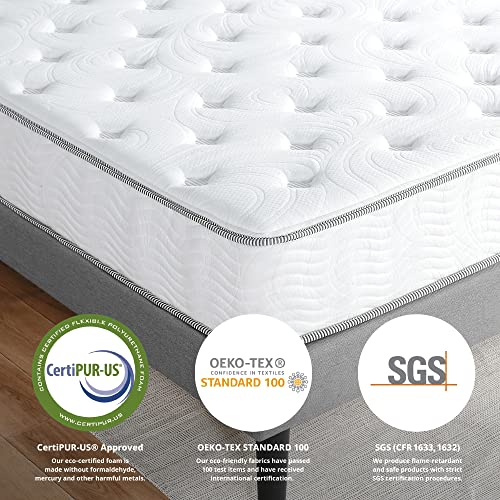 Olee Sleep 10 inch Milk Way Gel Infused Tight Top Hybrid Pocket Spring Mattress (Queen)