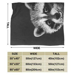 Novelty Flannel Plush Blankets, 80" x 60", Black White Vintage Style Raccoon Cute Animal Painting Throw Blanket for Better Sleep Recliner, Air Conditioning Blanket and Quality Washable