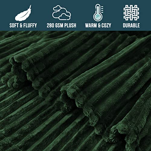 PAVILIA Cozy Fleece Blanket Throw | Fuzzy, Super Soft, Plush, Luxury Flannel Throw | Warm Ribbed Microfiber Blanket for Sofa Couch Bed (Emerald Green, 50x60 inches)