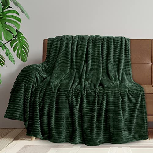 PAVILIA Cozy Fleece Blanket Throw | Fuzzy, Super Soft, Plush, Luxury Flannel Throw | Warm Ribbed Microfiber Blanket for Sofa Couch Bed (Emerald Green, 50x60 inches)